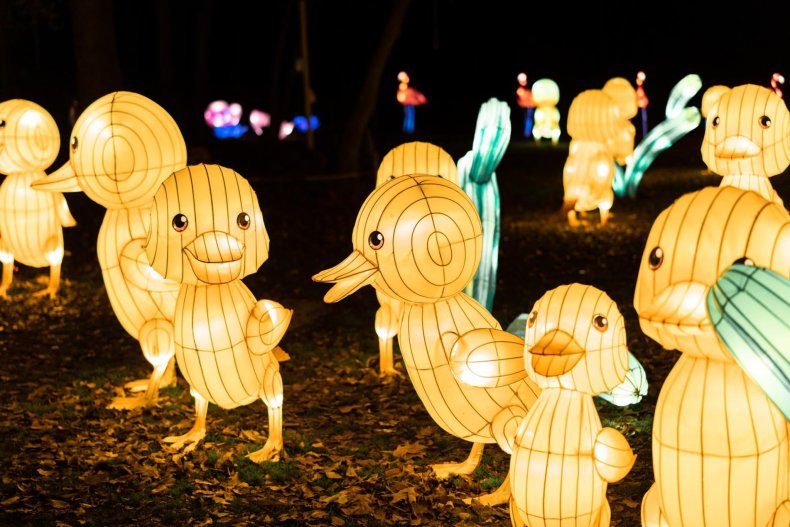 Disfruta del Festival de Linternas Wintern Lantern a México, un evento ...